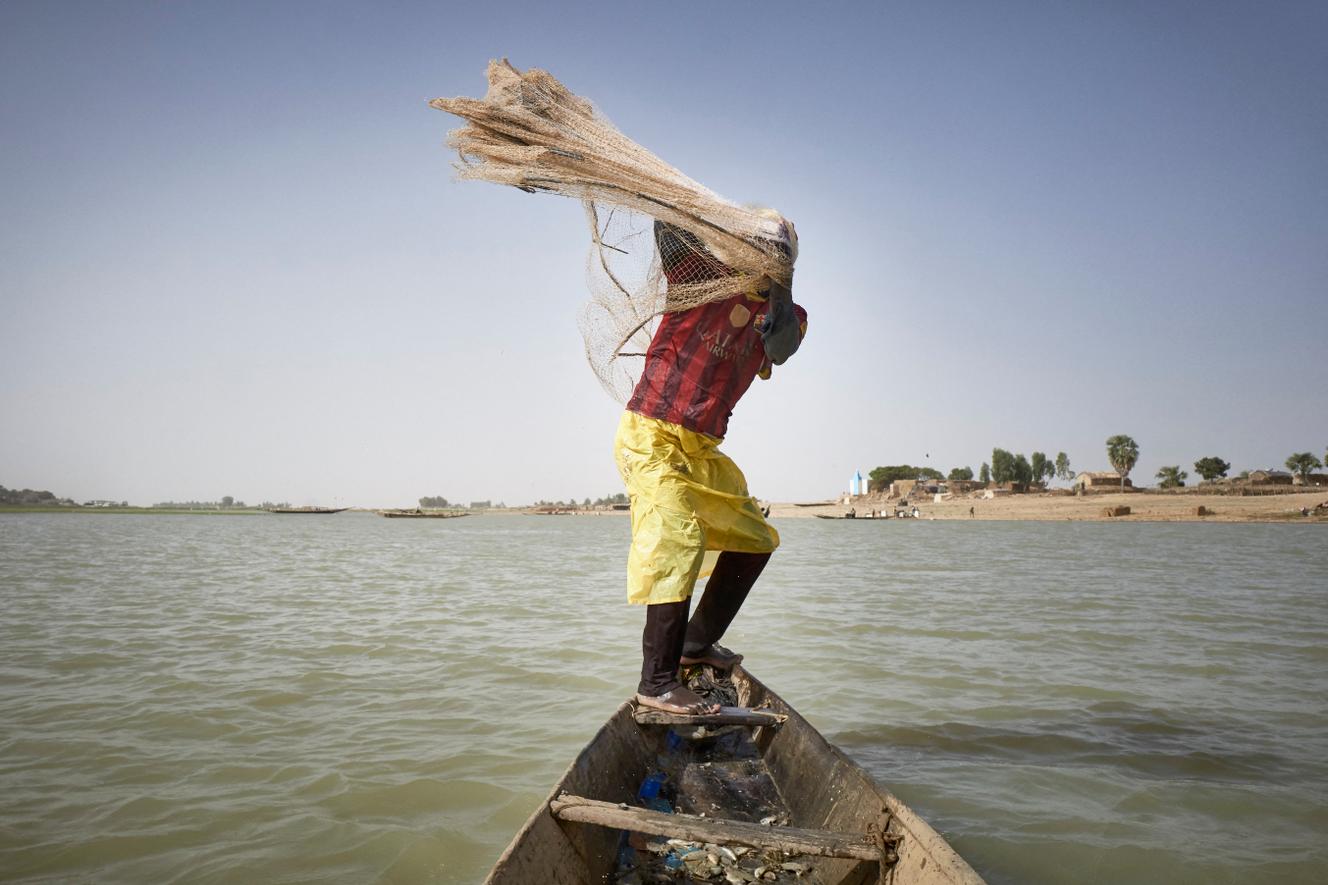 Au Mali, le delta du fleuve Niger à la confluence des maux sahéliens