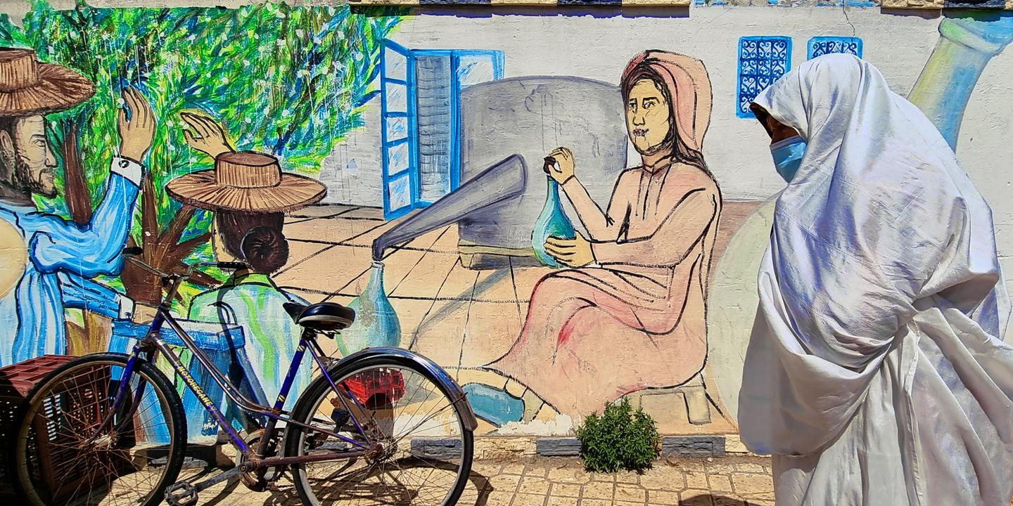 Le zhar, « or blanc » convoité du Nord-Est tunisien