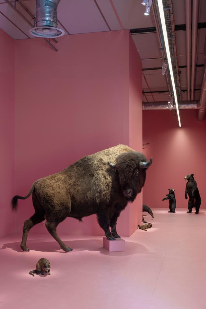 En images : Les « mots-maux », de Gilles Barbier, s’exposent à Nantes