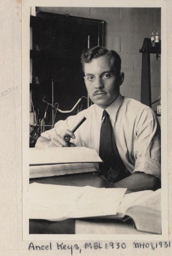 Ancel Keys, « Mister huile d’olive