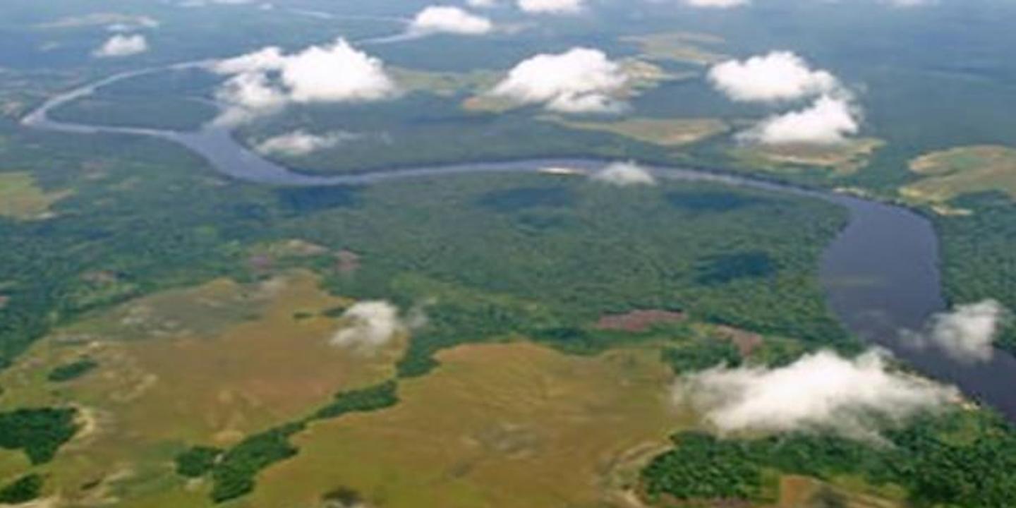 Le plus grand parc de RDC retiré de la liste du patrimoine mondial en péril