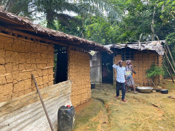 Au Cameroun, la bataille des Bagyeli contre des industriels de palmiers ...