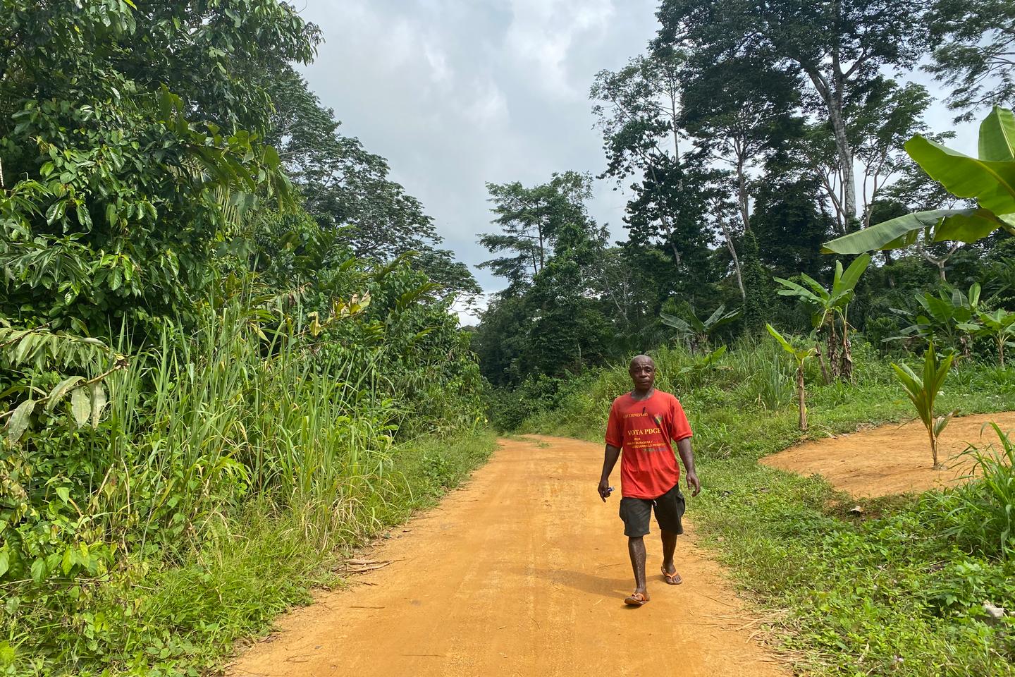 Au Cameroun, la bataille des Bagyeli contre des industriels de palmiers ...
