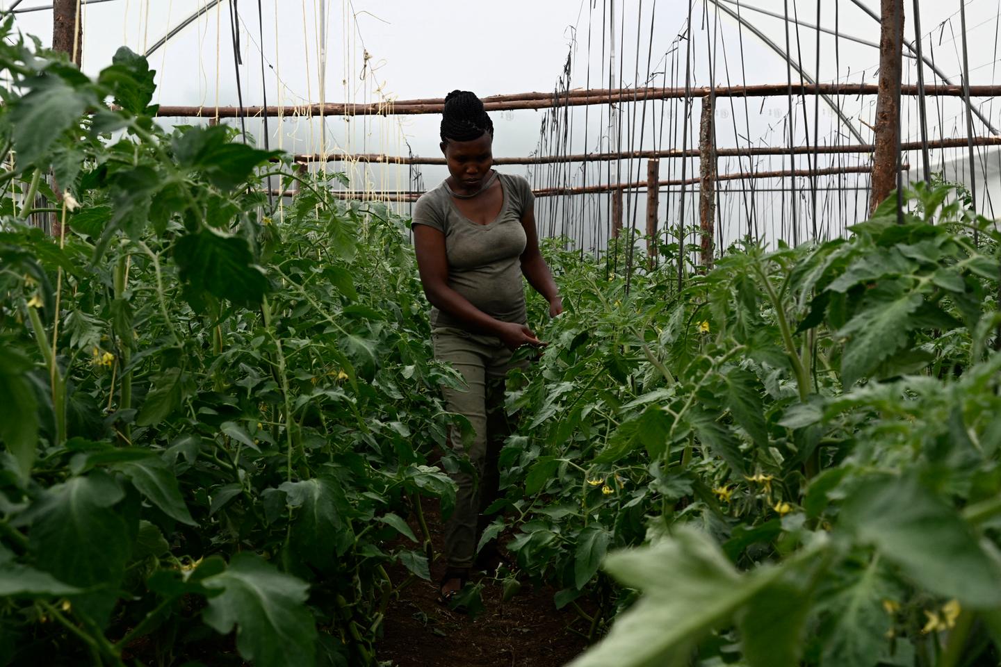 Ces entrepreneurs africains qui aident à relever le défi du développement Ces entrepreneurs africains qui aident à relever le défi du développement