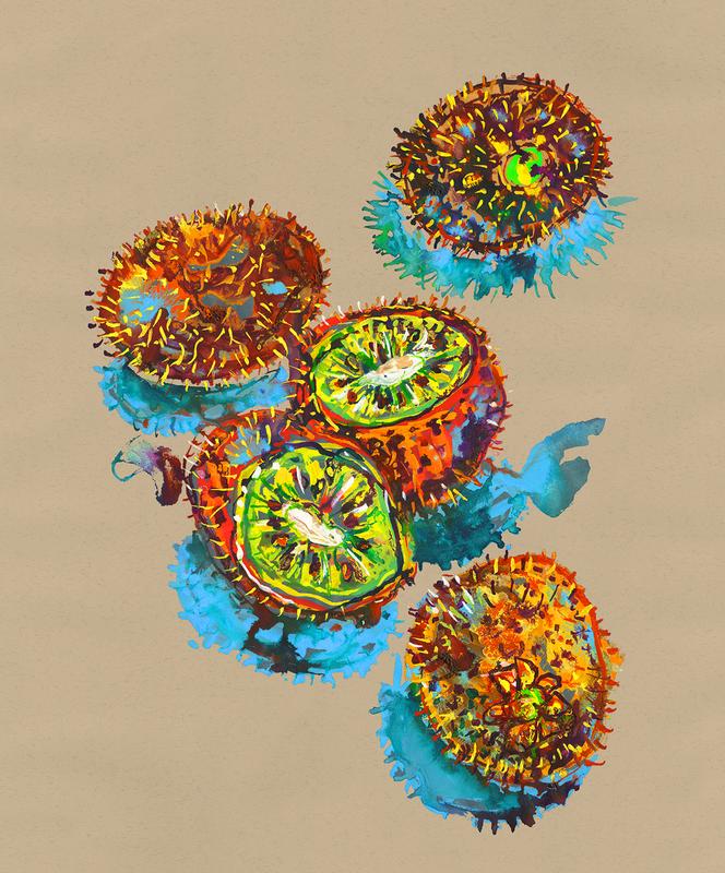 Le kiwi, un produit, deux possibilités