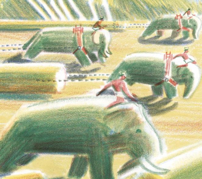 « Le Livre perdu », « Renoir imagier », « L’Ile du bonheur »… Notre ...