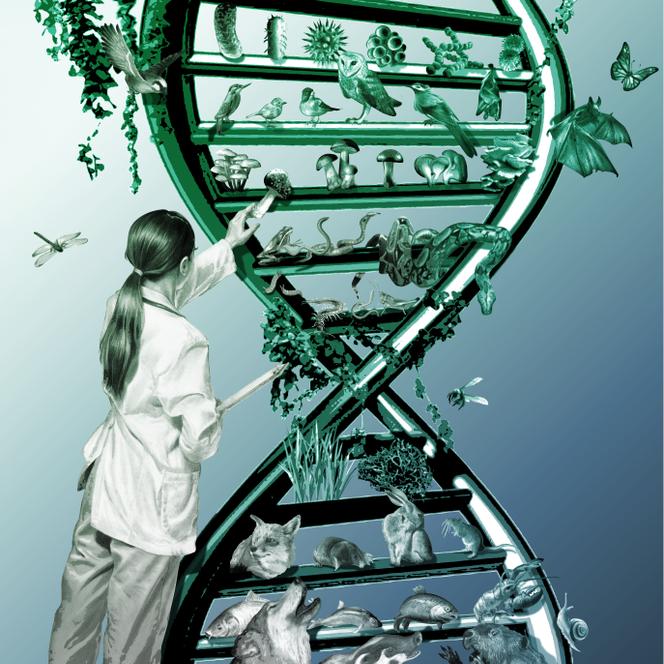 Environmental DNA sequencing: A new and rapidly evolving technology