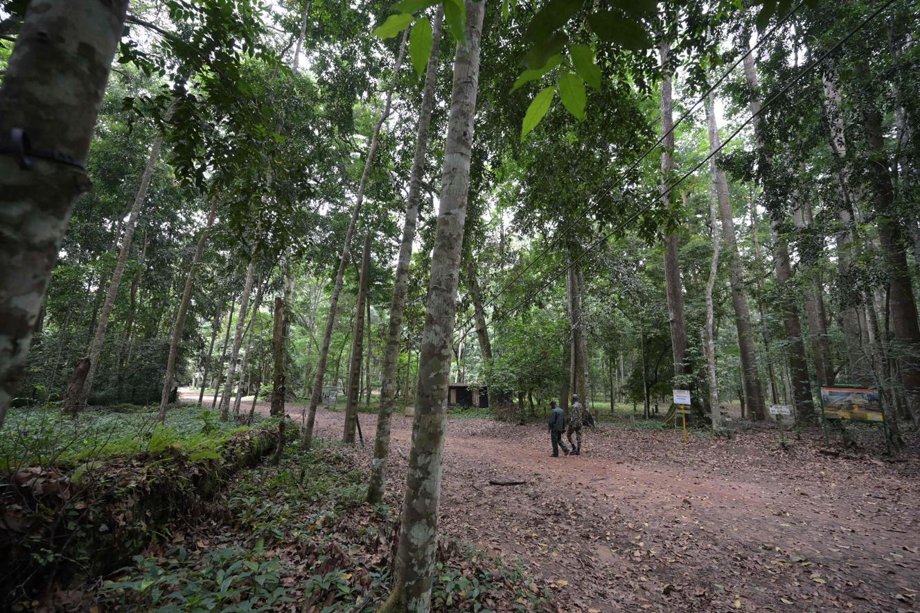 En Côte d’Ivoire, face à l’urbanisation sauvage, le parc du Banco ...