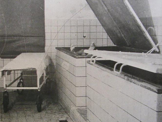 'For 30 years the University of Strasbourg claimed that it no longer ...