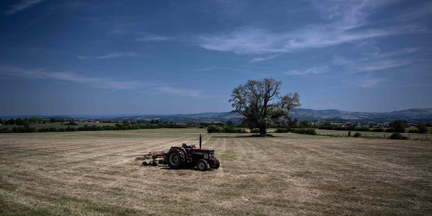 Droughts threaten most of France this summer