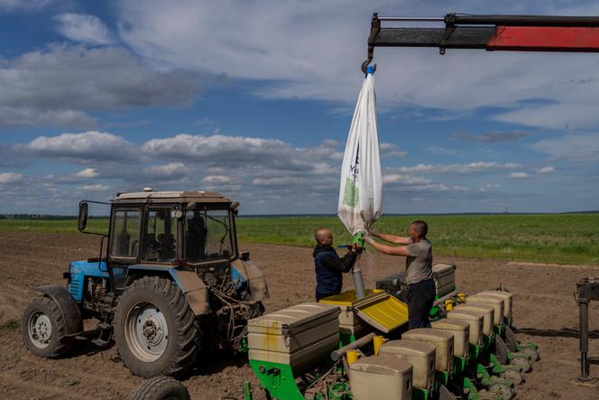 The grim future of Ukrainian agriculture