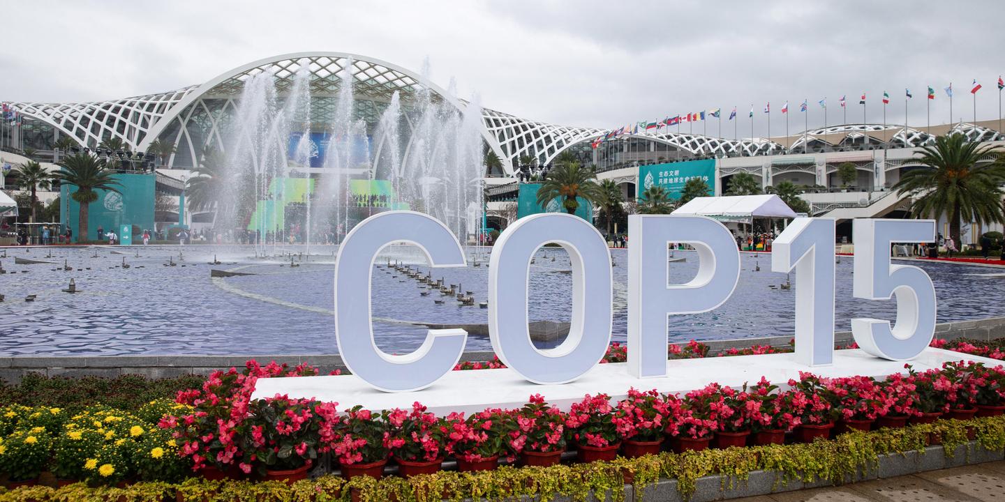 UN COP-15 on biodiversity moved from China to Canada