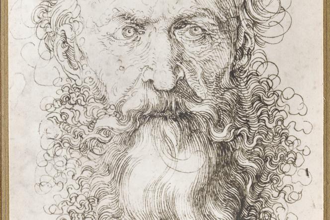 Albrecht Durer Drawings