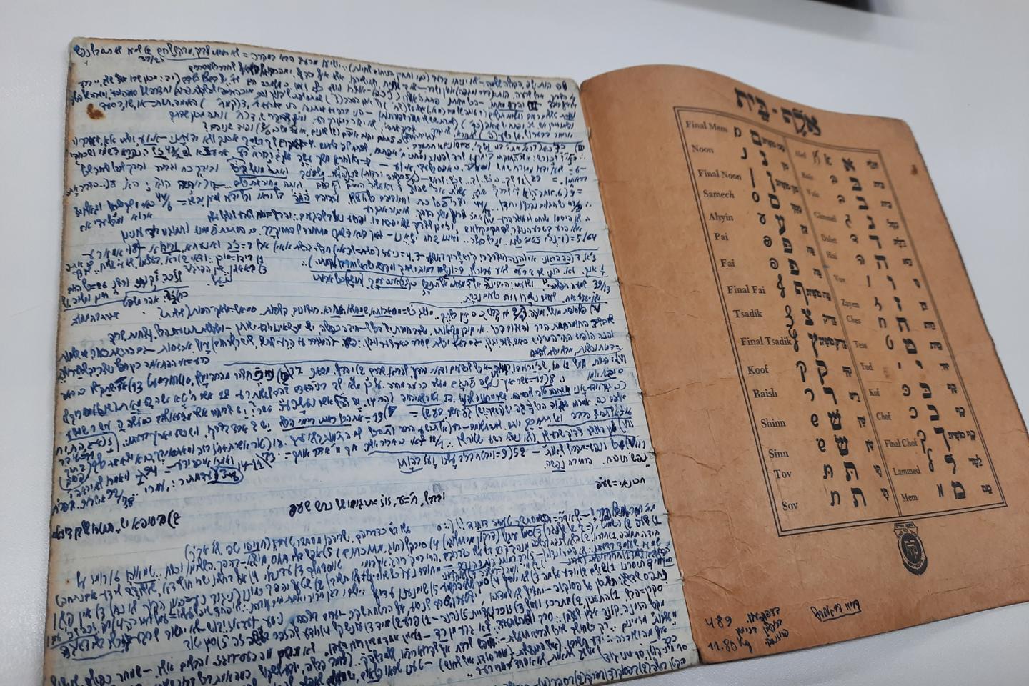 « Fascinant Chouchani », de Sandrine Szwarc, et « Juive et républicaine ...