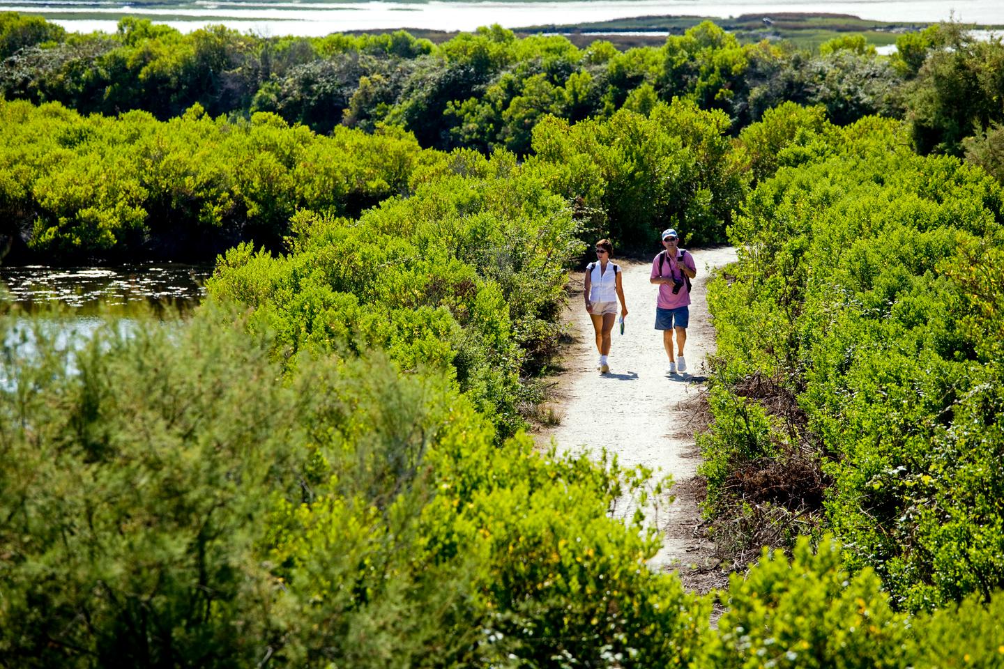 La France, un pas après l’autre : cinq randonnées 100 % nature