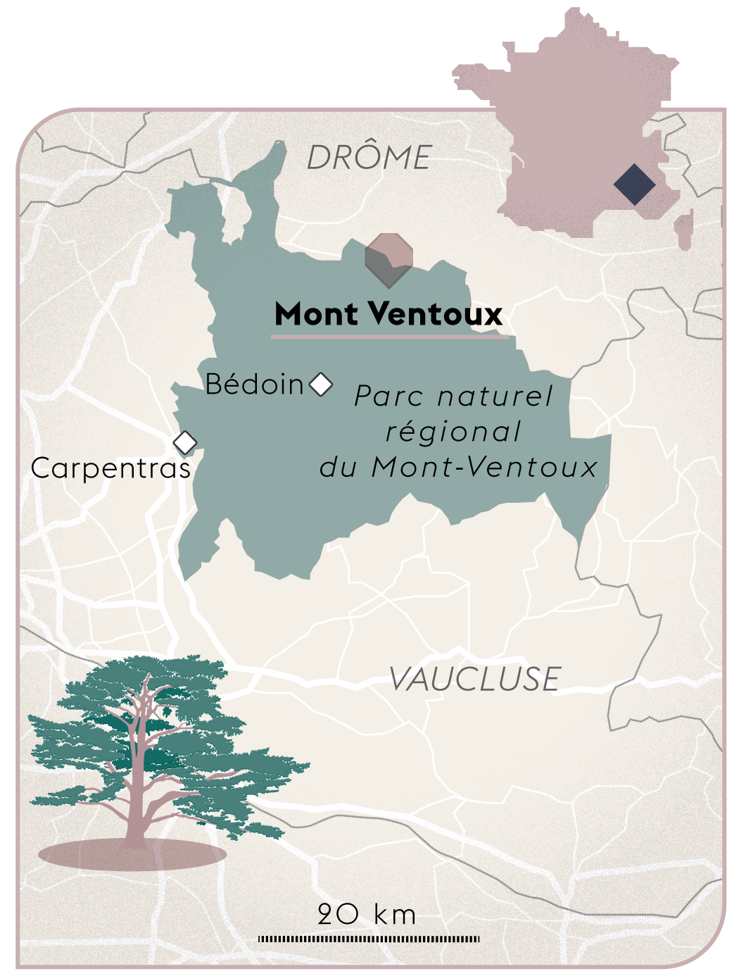 Sur le mont Ventoux, le contre-la-montre de la nature