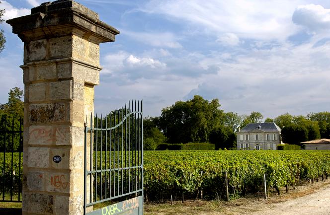 La France, un pas après l’autre : cinq randonnées urbaines