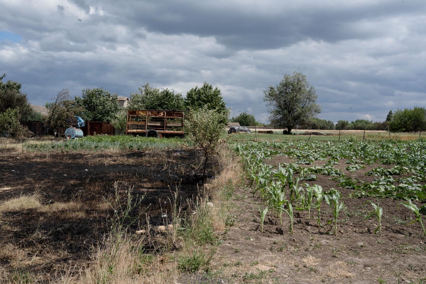Ukraine war encroaches on natural reserves and has deadly effect on ...