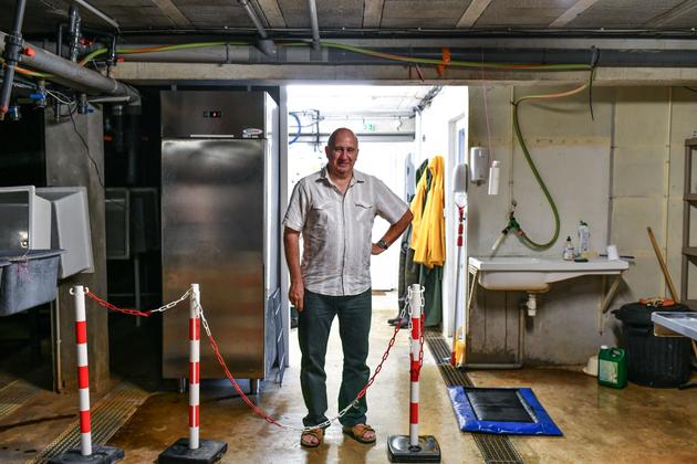 Dans le Sud-Ouest, le long combat pour sauver la dernière population d ...