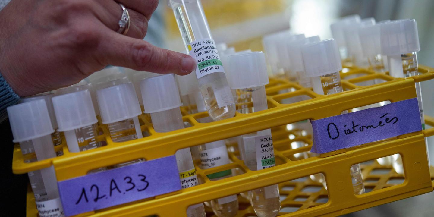 France's most famous marine biology lab turns 150