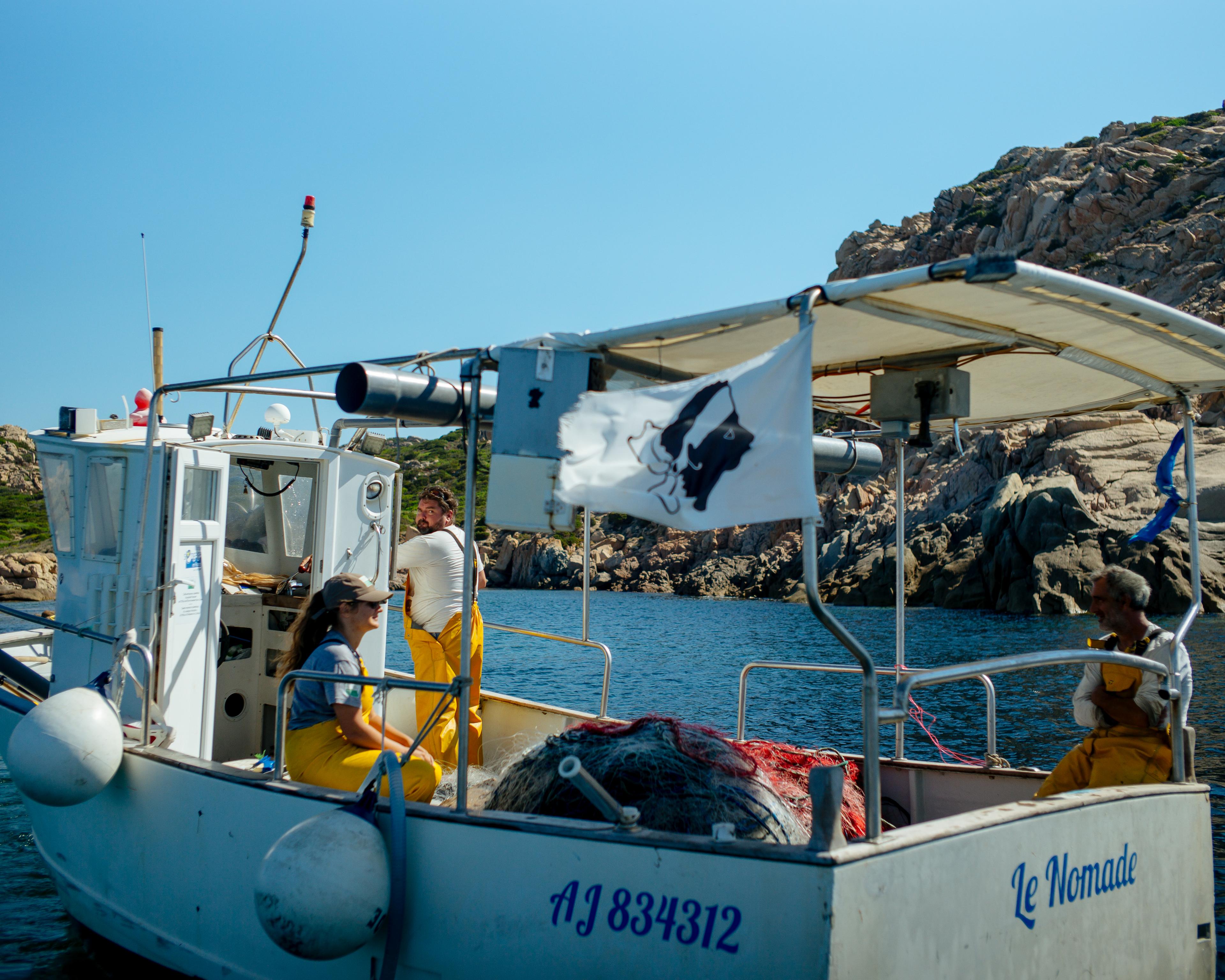 En Corse, le naufrage de la langouste rouge