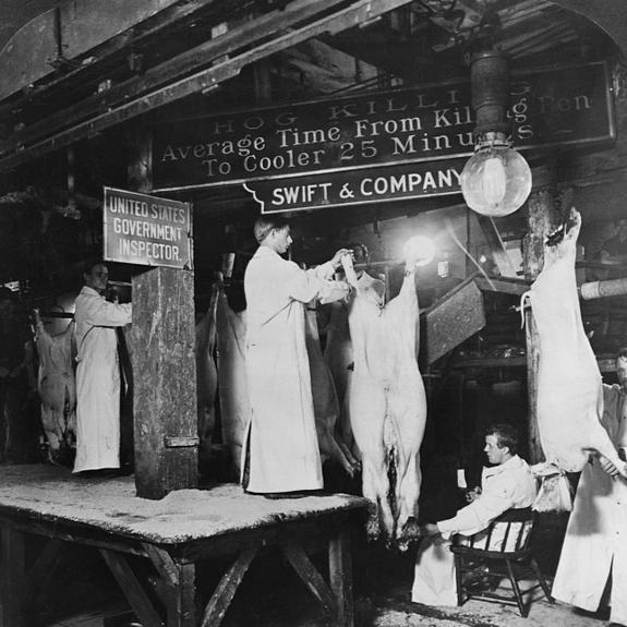 slaughterhouse   1 hour