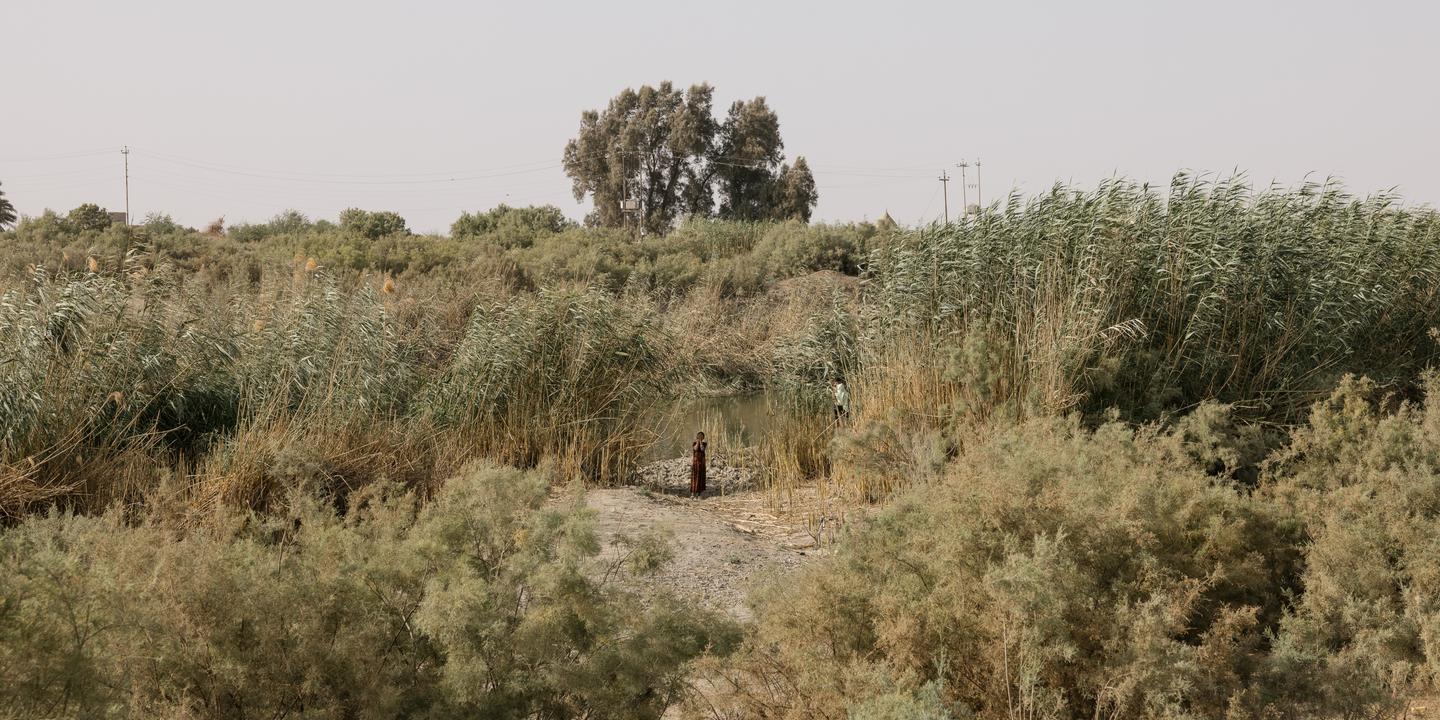 Iraq's fertile valley is dying