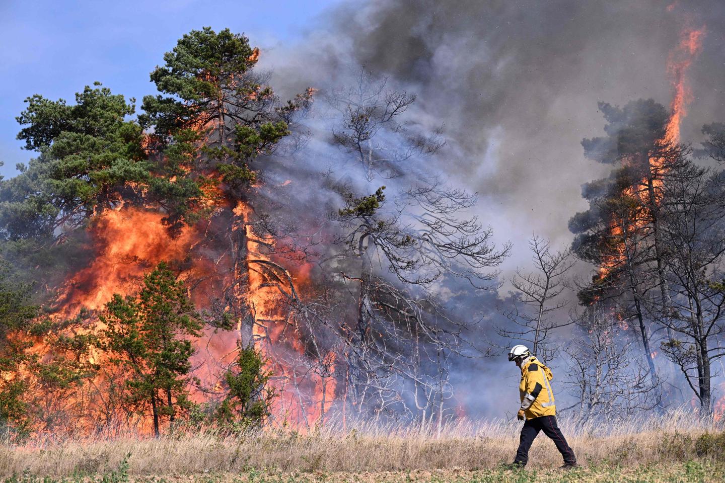 Incendies : reprises de feu en Gironde, au moins 320 hectares de pins ...