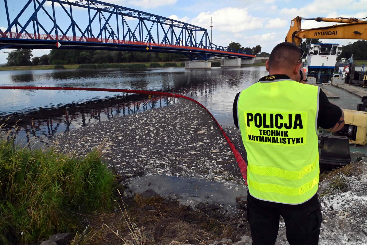No explanation for mass fish death in Polish river environmental disaster