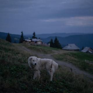 War and peace in Bogdan, a village in the Ukrainian Carpathians