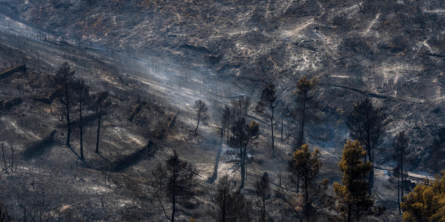 Spain says wildfire in eastern Valencia region contained