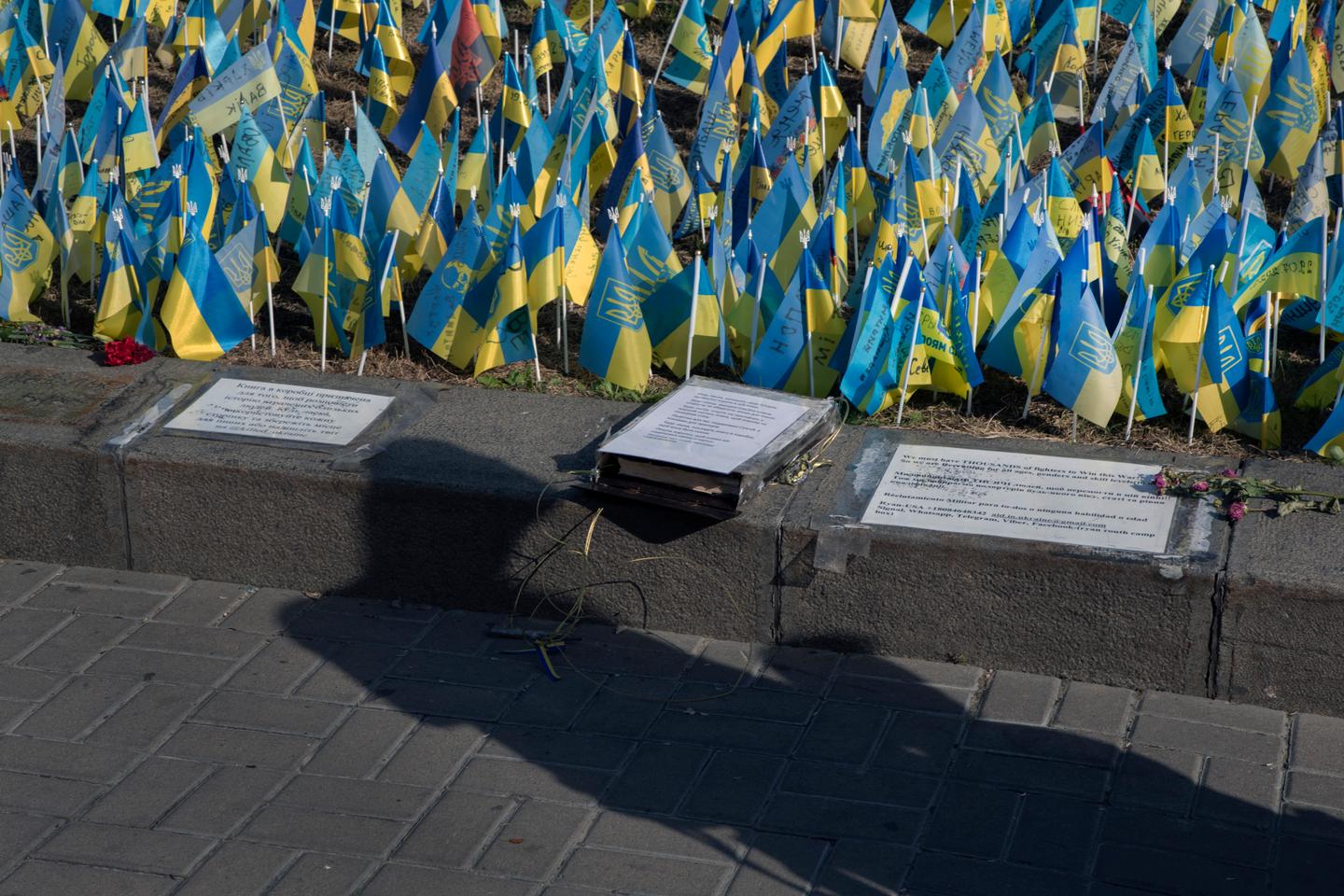 Kyiv's 'Book of the Dead', a reflection of six months of war