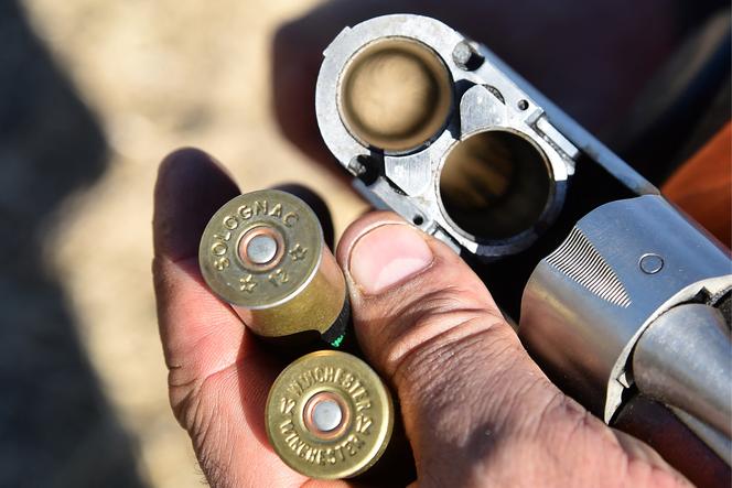 Lead ammunition exposes game meat consumers to harmful health effects