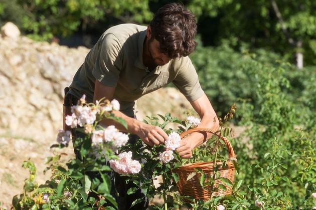 The scent of rebirth fills the air, as Grasse reclaims its crown as ...