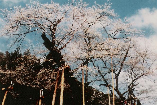 Paris Autumn Festival honors Japanese director Sumiko Haneda