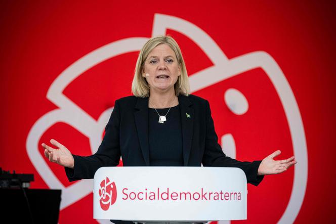 Swedish elections: Who are the main candidates for prime minister?