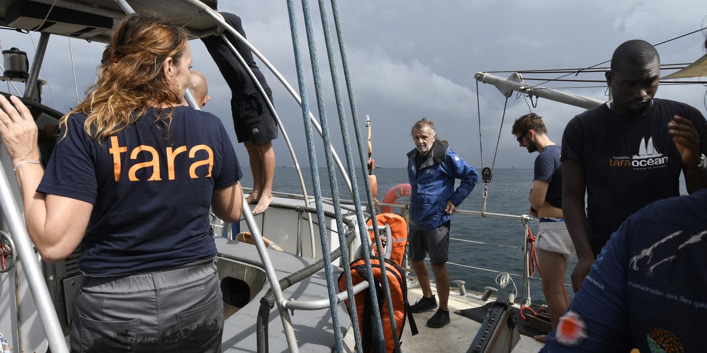 Au Sénégal, le voilier « Tara » sillonne fleuves et océan à la ...
