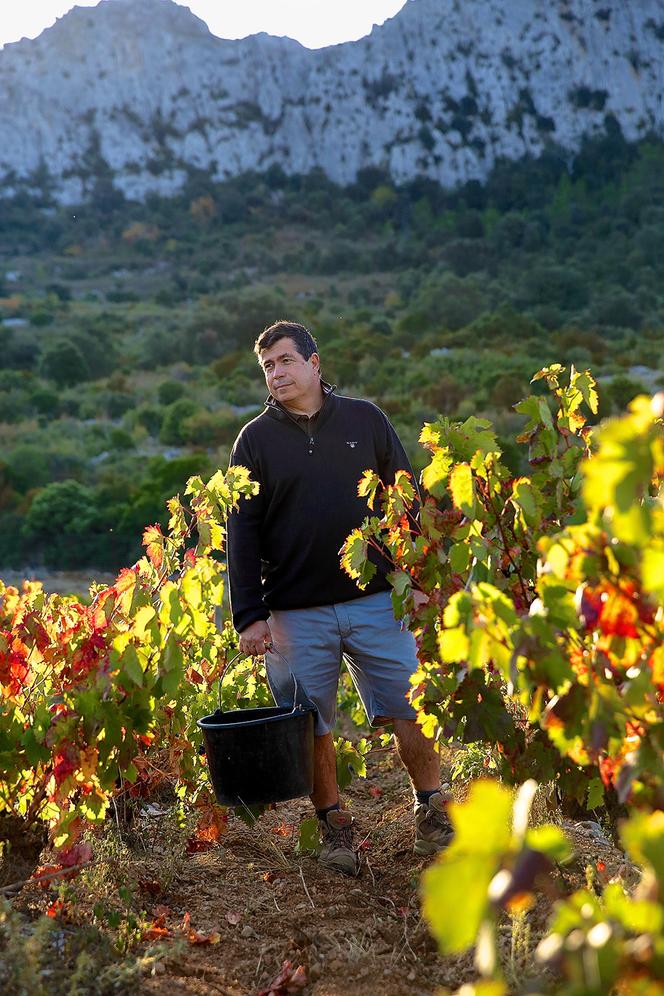 Hervé Bizeul, le vigneron brise-glace du Roussillon
