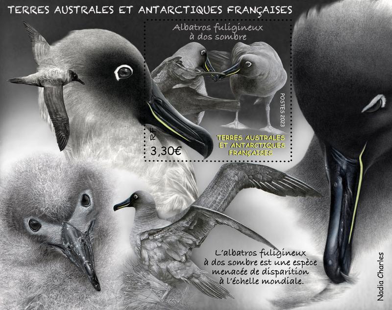 Les « Dessins naturalistes » inspirés de Nadia Charles