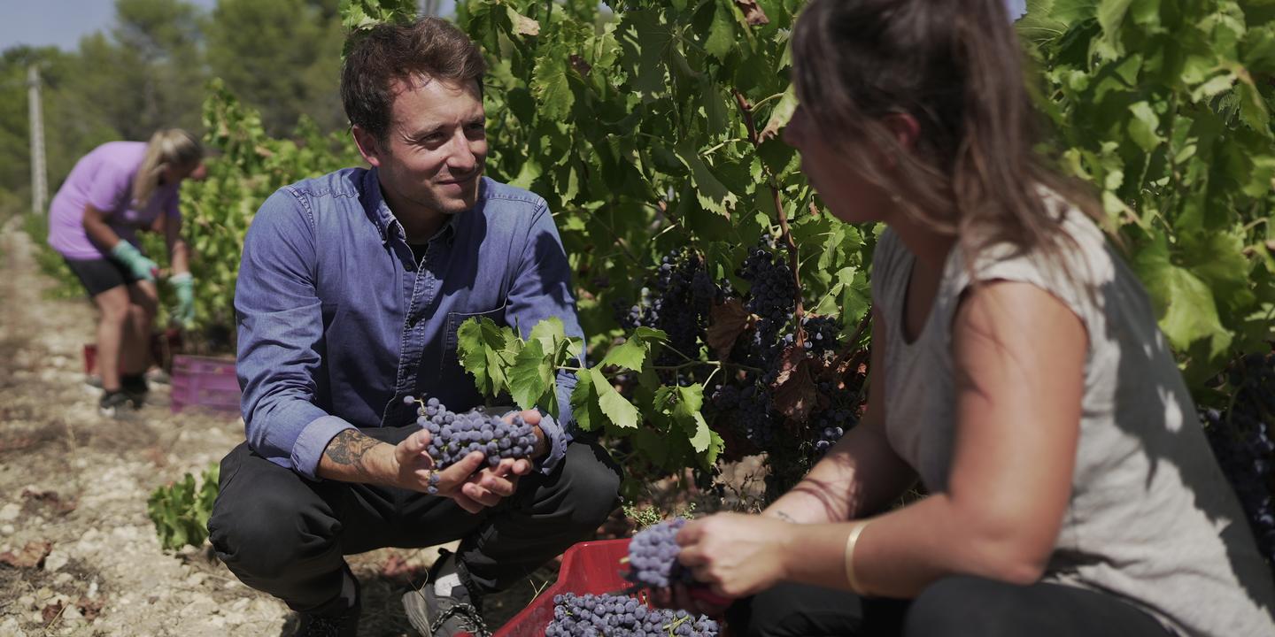 « Alerte rouge sur le vin », sur France 5 : Hugo Clément « sur le front » des cépages et des ...