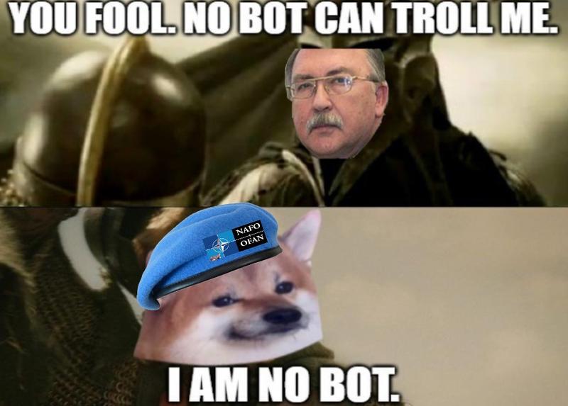 Sur Internet, la guérilla pro-Ukraine de NAFO, la brigade de mèmes à ...