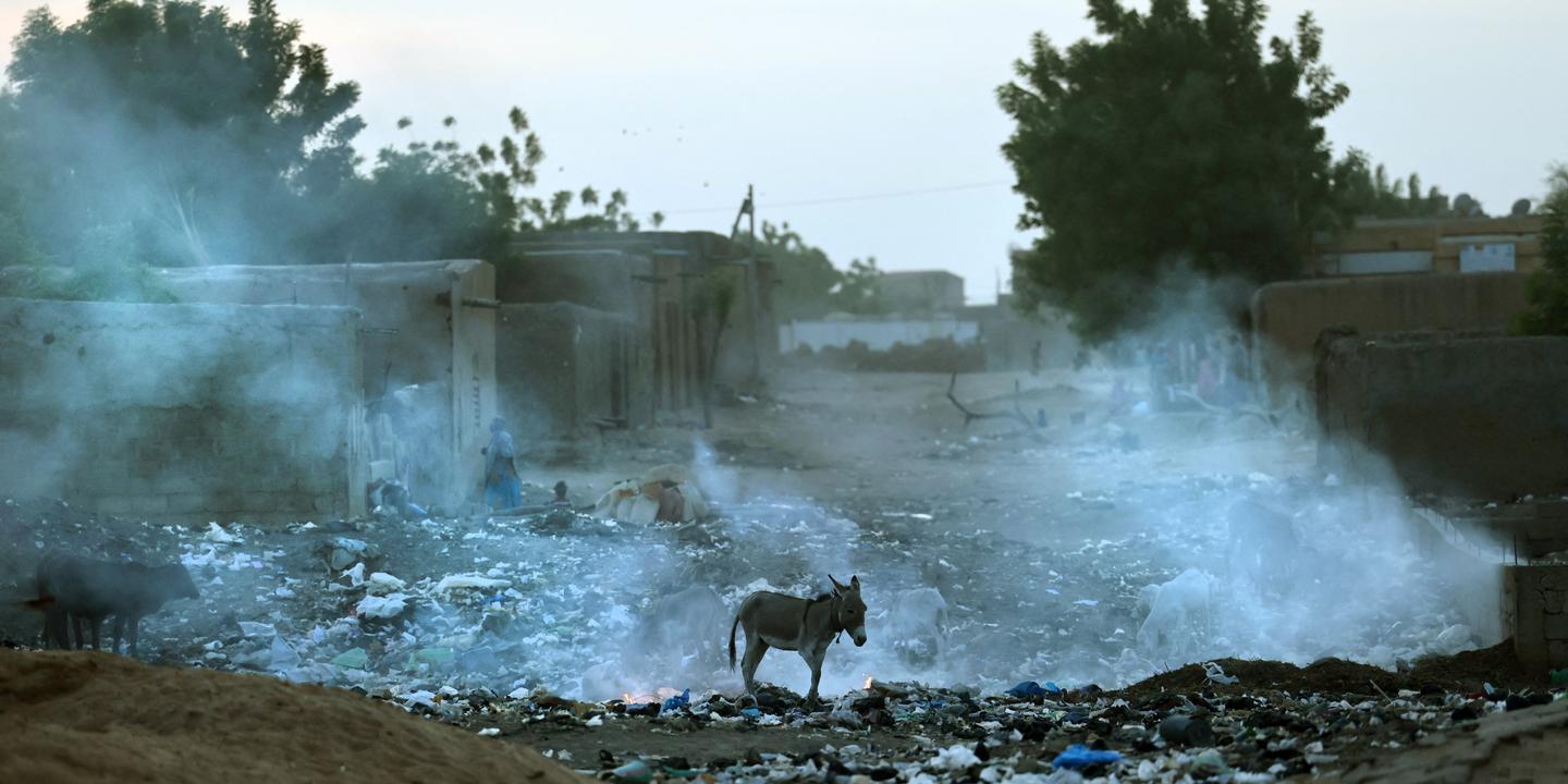 Au Mali, l’Etat islamique dans le Grand Sahara « en position de ...