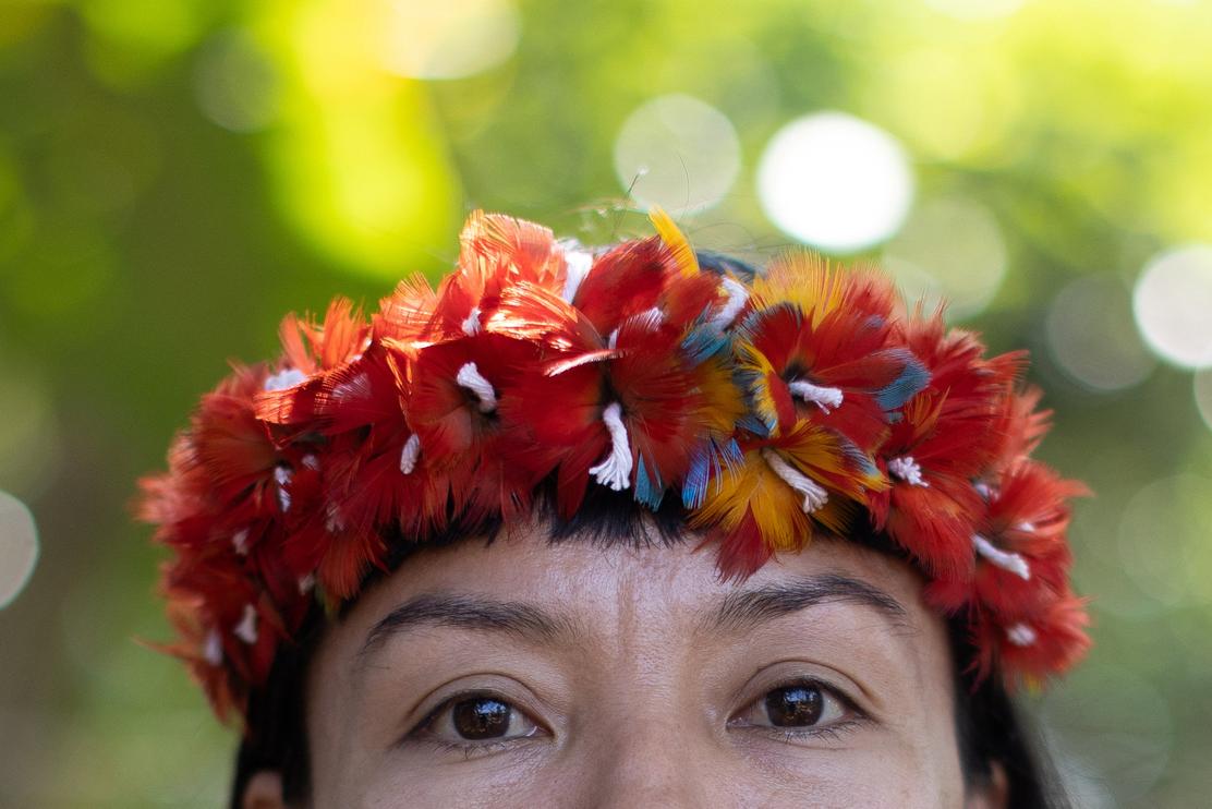 With better representation in Brazil's Congress, Indigenous peoples ...