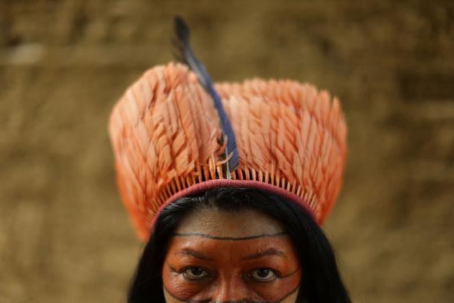 With better representation in Brazil's Congress, Indigenous peoples ...
