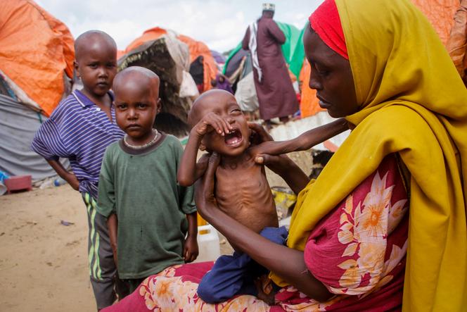 Famine once again looms over Somalia