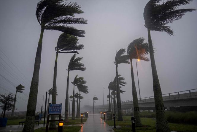 hurricane palm harbor fl