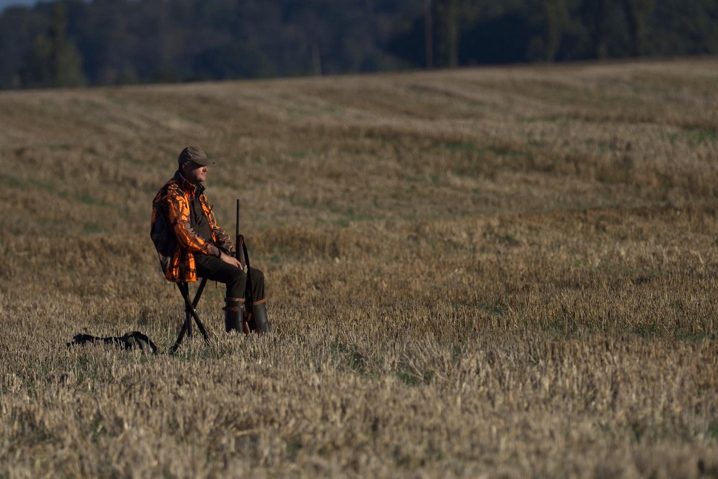 Chasse au loup en Lozère : quel est le cadre légal de ces « tirs de ...