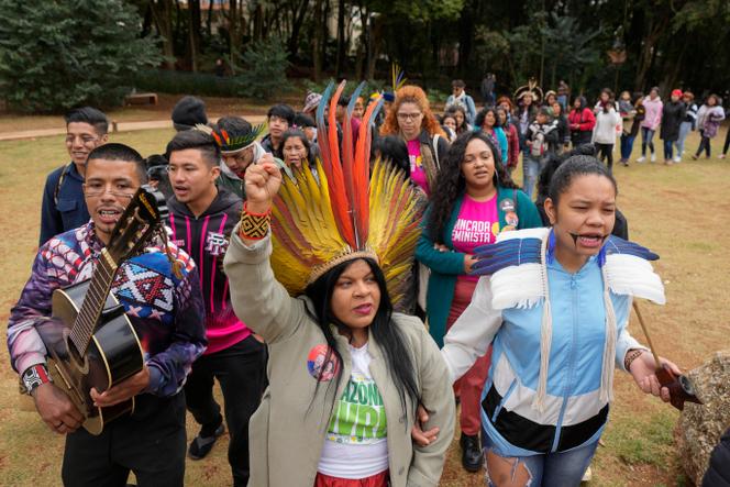 With better representation in Brazil's Congress, Indigenous peoples ...