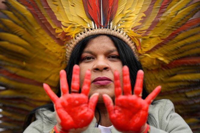 With better representation in Brazil's Congress, Indigenous peoples ...