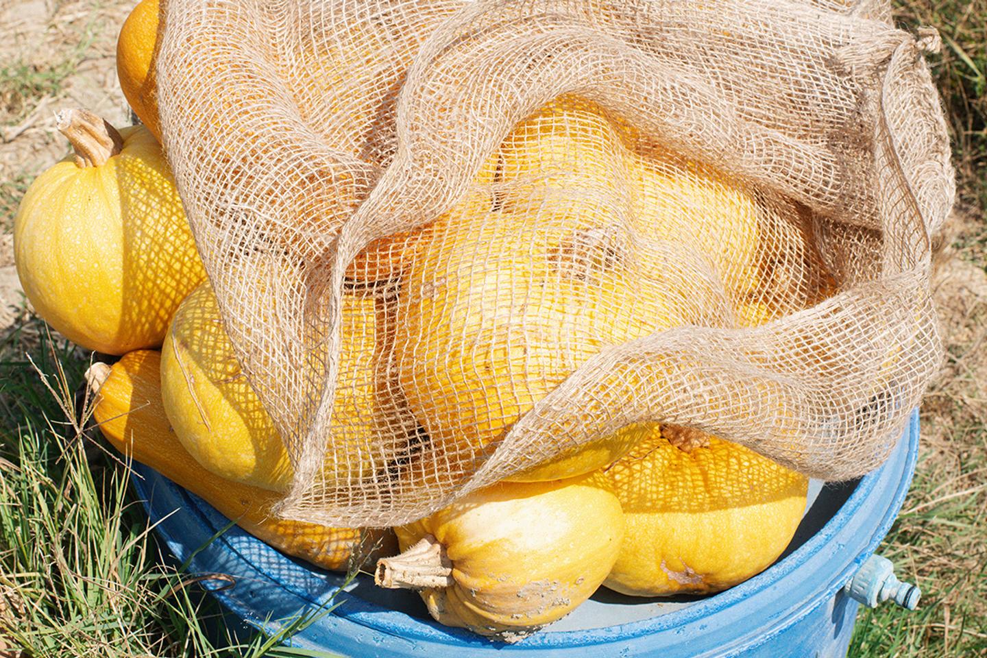 Objet écolo : le sac à feuilles